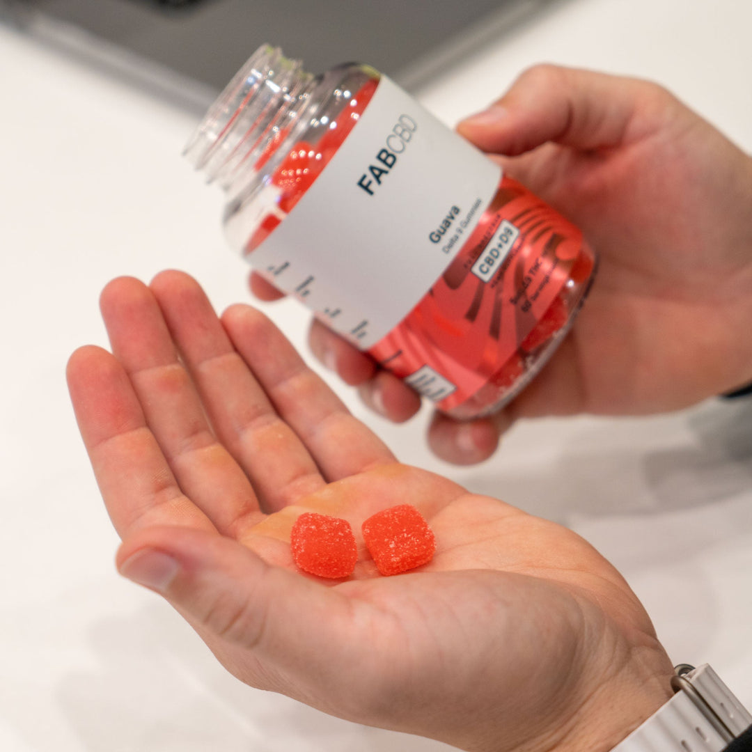 Delta 9 Gummies Bundle Pack | 3 Pack of THC Gummies – FABCBD